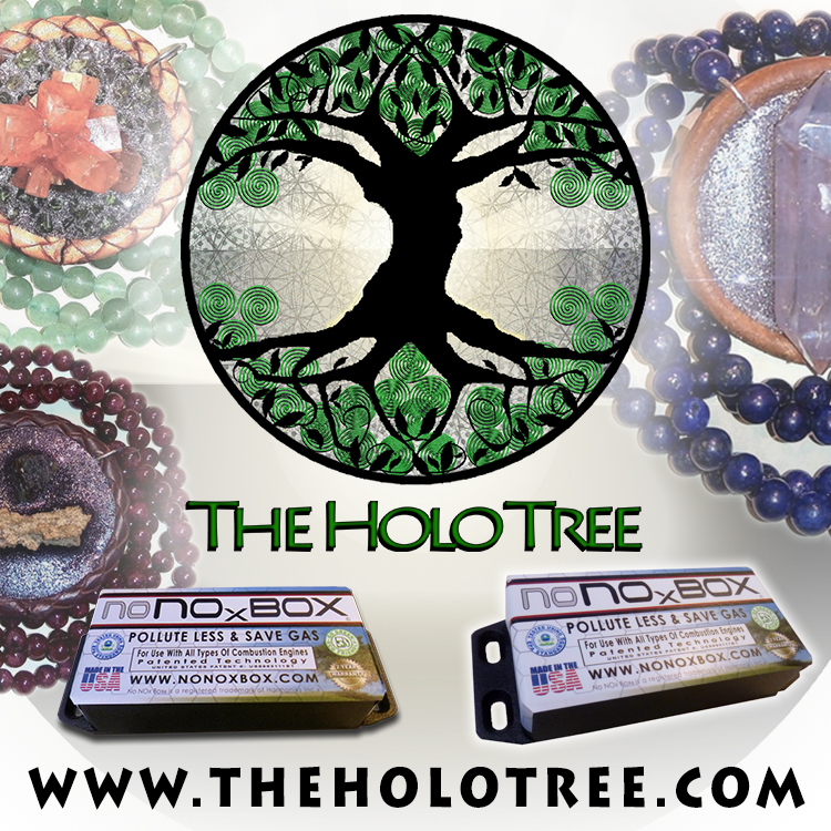 About The Holo Tree – The Holo Tree