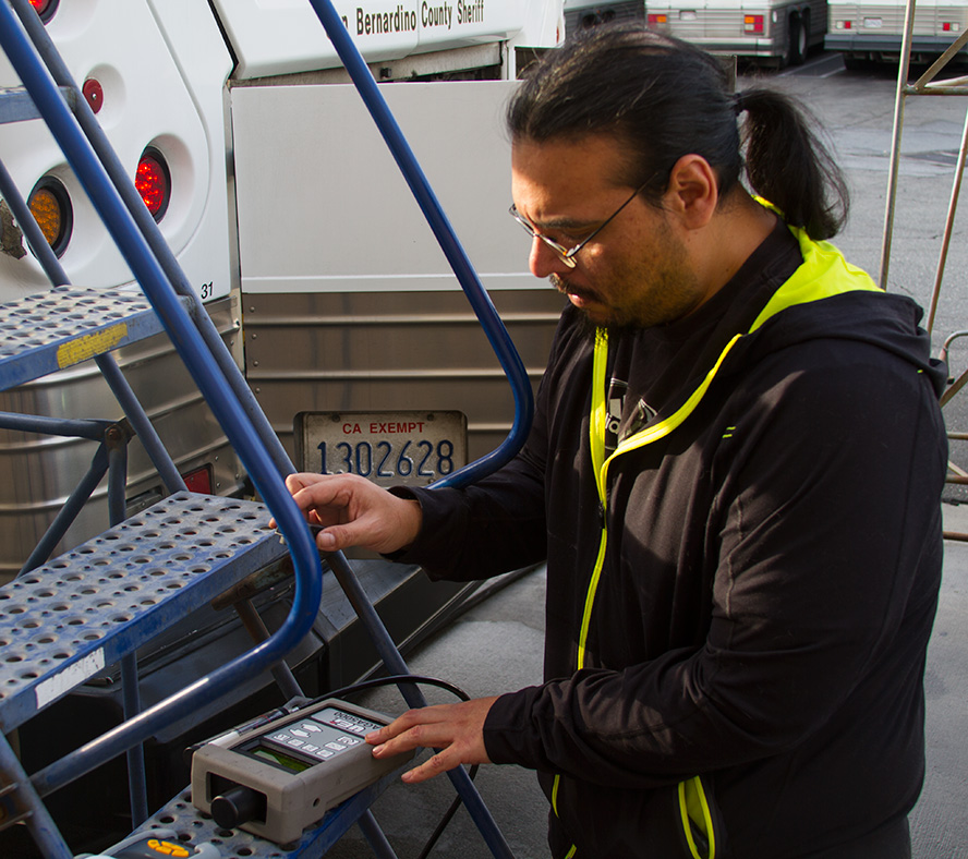 About Holo Tree Shamanic Reiki – The Holo Tree